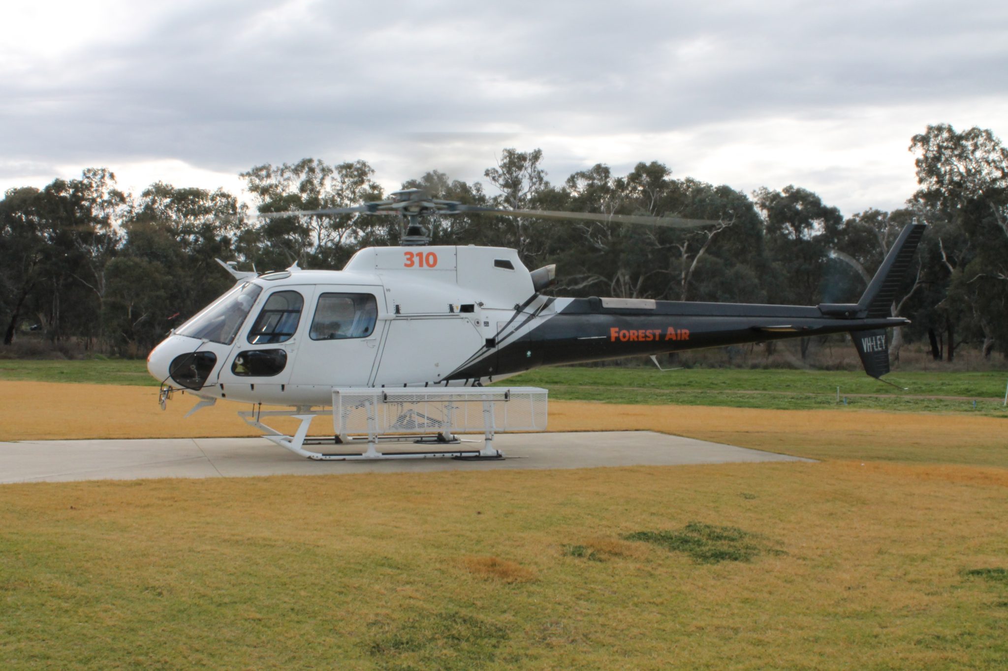 AS350 Squirrel - Forestair Helicopters